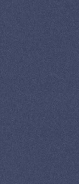 TESLA PMNG Midnight Silver - MBC Basecoat, MTK Single-Stage, or Touch ...